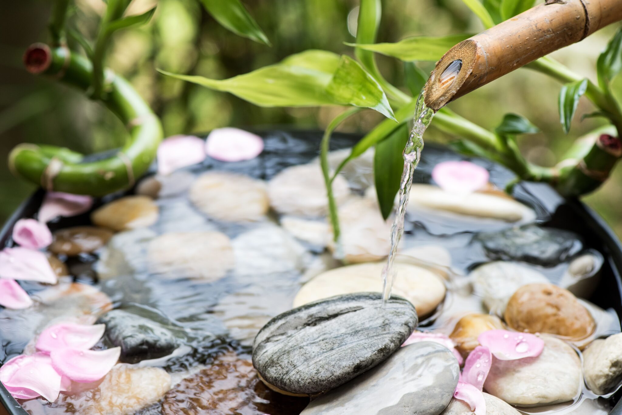 Grundlagen des Feng Shui im Garten: Gestaltungsprinzipien und ihre ...