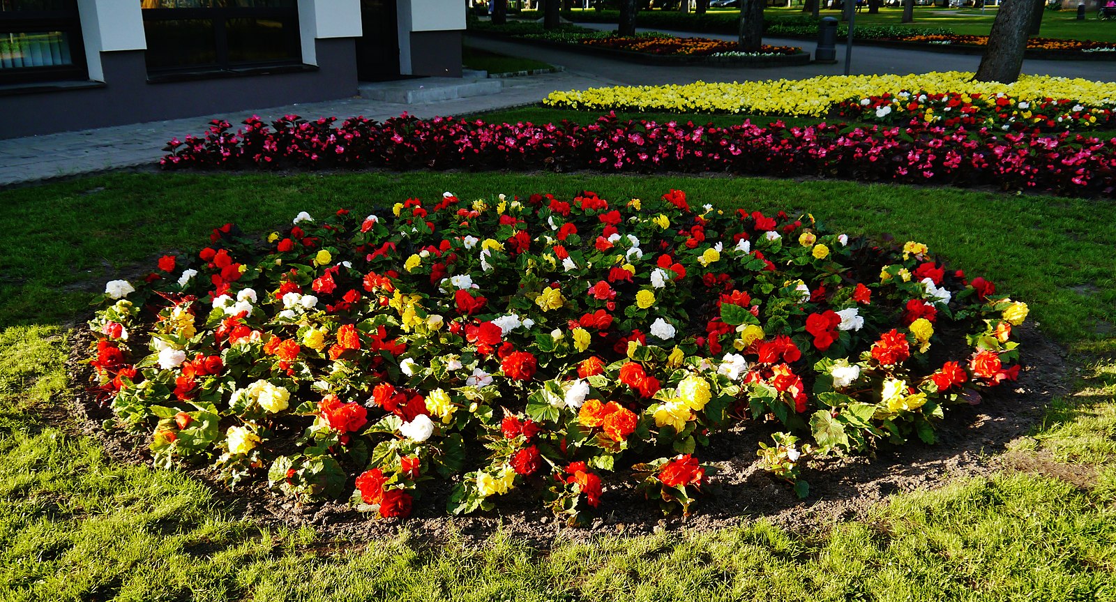Blumenbeet anlegen: Tipps und Ideen für eine schöne Gartengestaltung ...