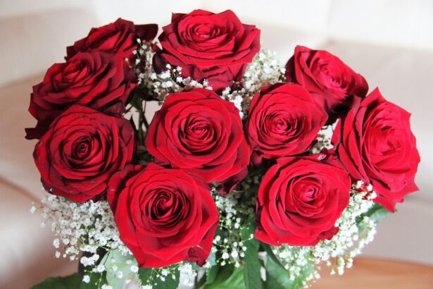 Rosenarten für besondere Anlässe: Blumen mit Symbolik und Bedeutung ...