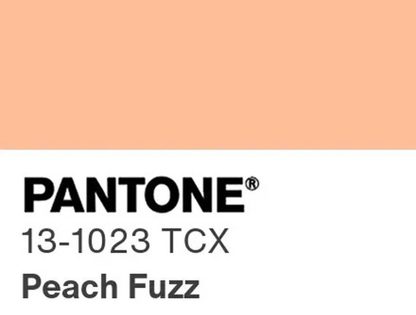 Peach Fuzz: Die Pantone-Farbe des Jahres 2024 - Wohntrends Magazin